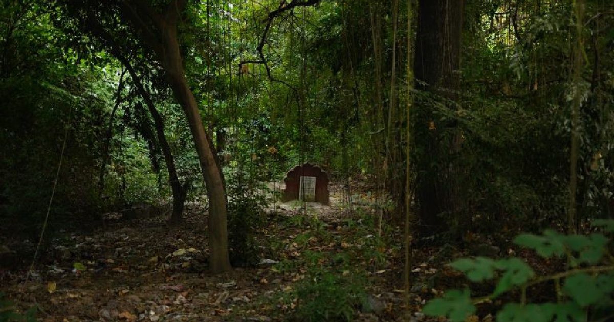 Announcing the winner: The Whickers 2025 Docedge Kolkata Bursary Winner ...